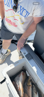 Lake Pontchartrain Fishing Reports (October 2025)