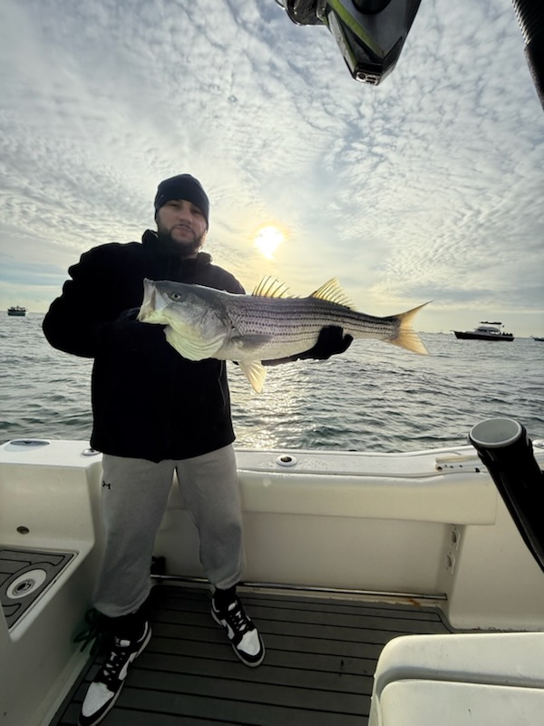 Barnegat Bay Fishing Reports (June 2026)