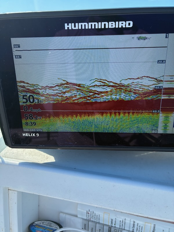 Long Island Sound Fishing Reports (June 2026)