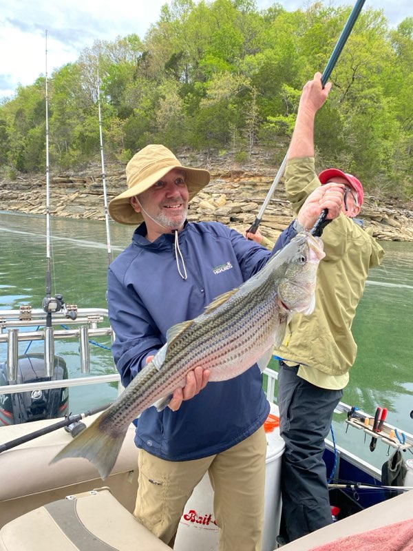 Lake Cumberland Fishing Reports (June 2026)