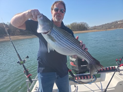 Beaver Lake Fishing Reports (May 2026)
