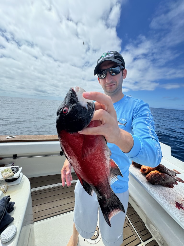 Catalina Island Fishing Reports (December 2025)