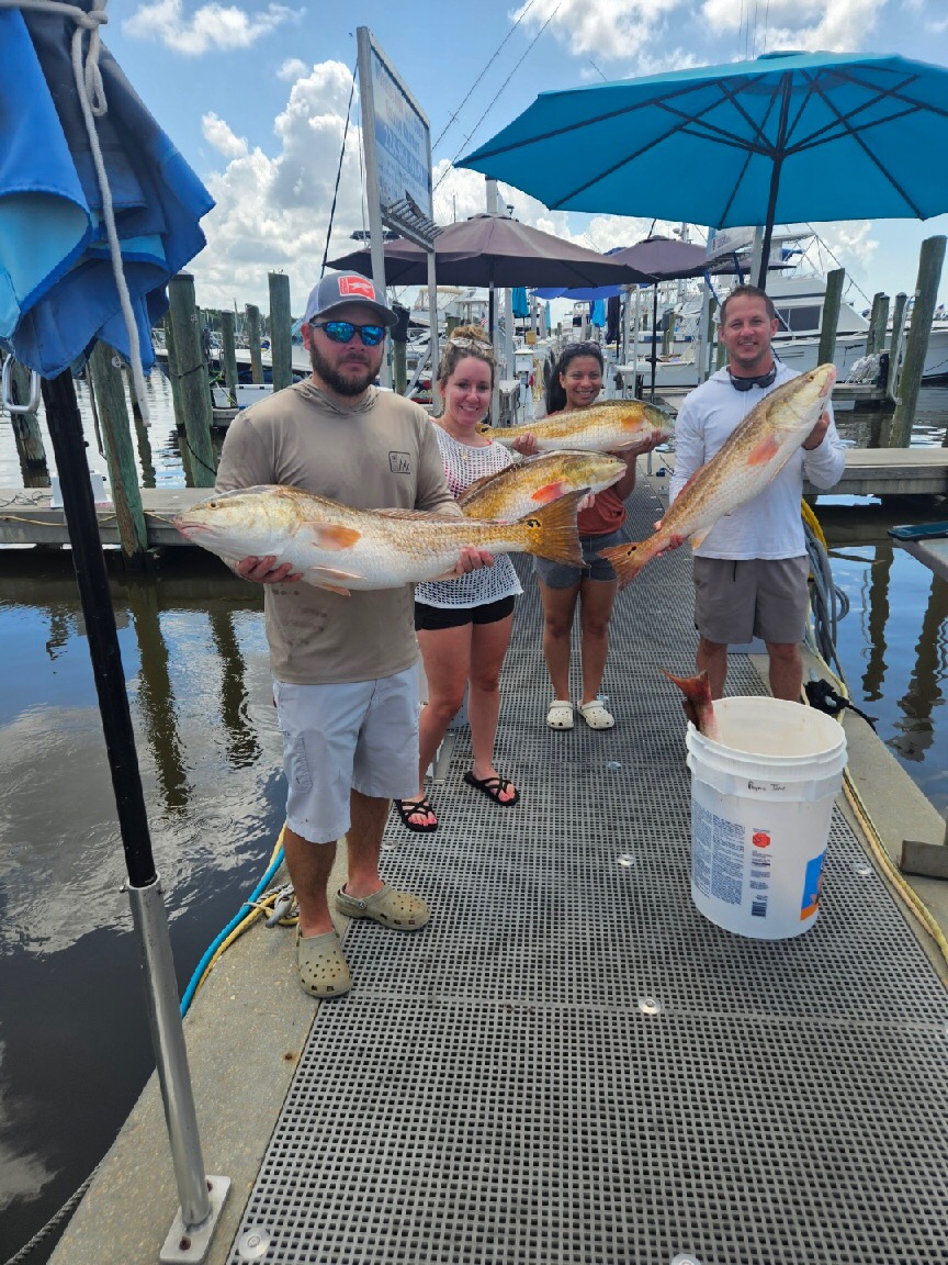 Horn Island Fishing Reports (June 2026)