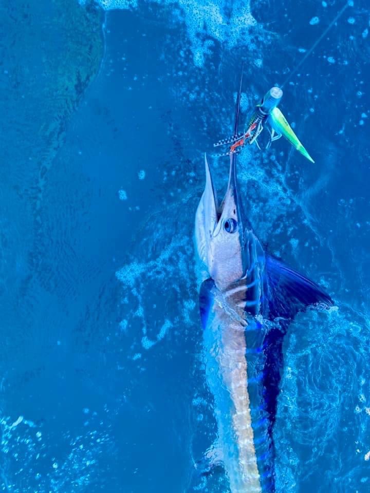 Dog Snapper Fishing Charters in Cabo San Lucas