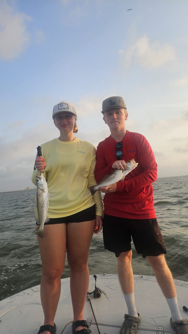 Packery Channel Fishing Reports (June 2026)