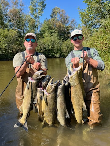 Manistee River Fishing Reports (October 2025)