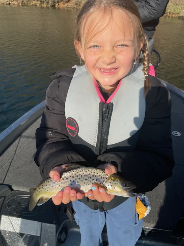 Bull Shoals Lake Fishing Reports (June 2026)