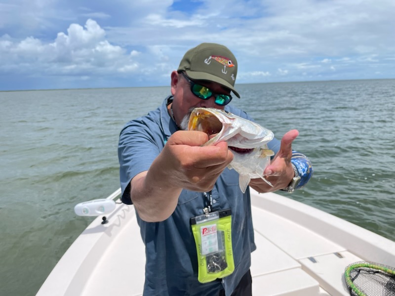 Port O'Connor Jetty Fishing Reports (June 2026)