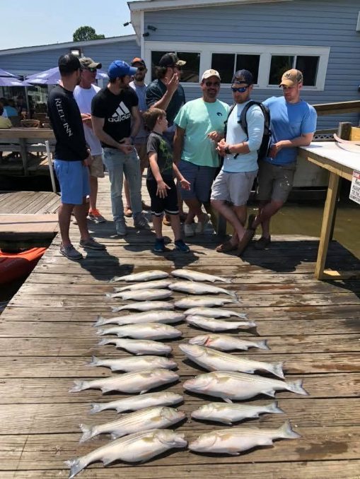 Potomac River Fishing Reports (June 2026)