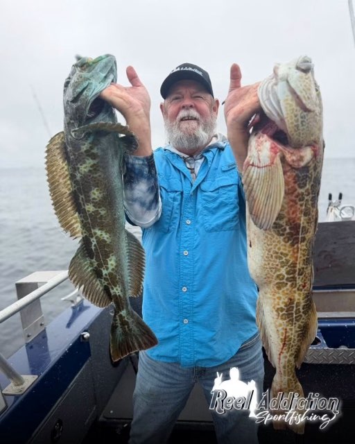 San Francisco Bay Area Fishing Reports (June 2026)
