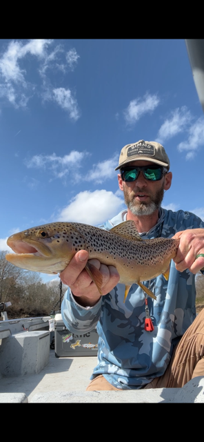 White River (AR) Fishing Reports (June 2026)