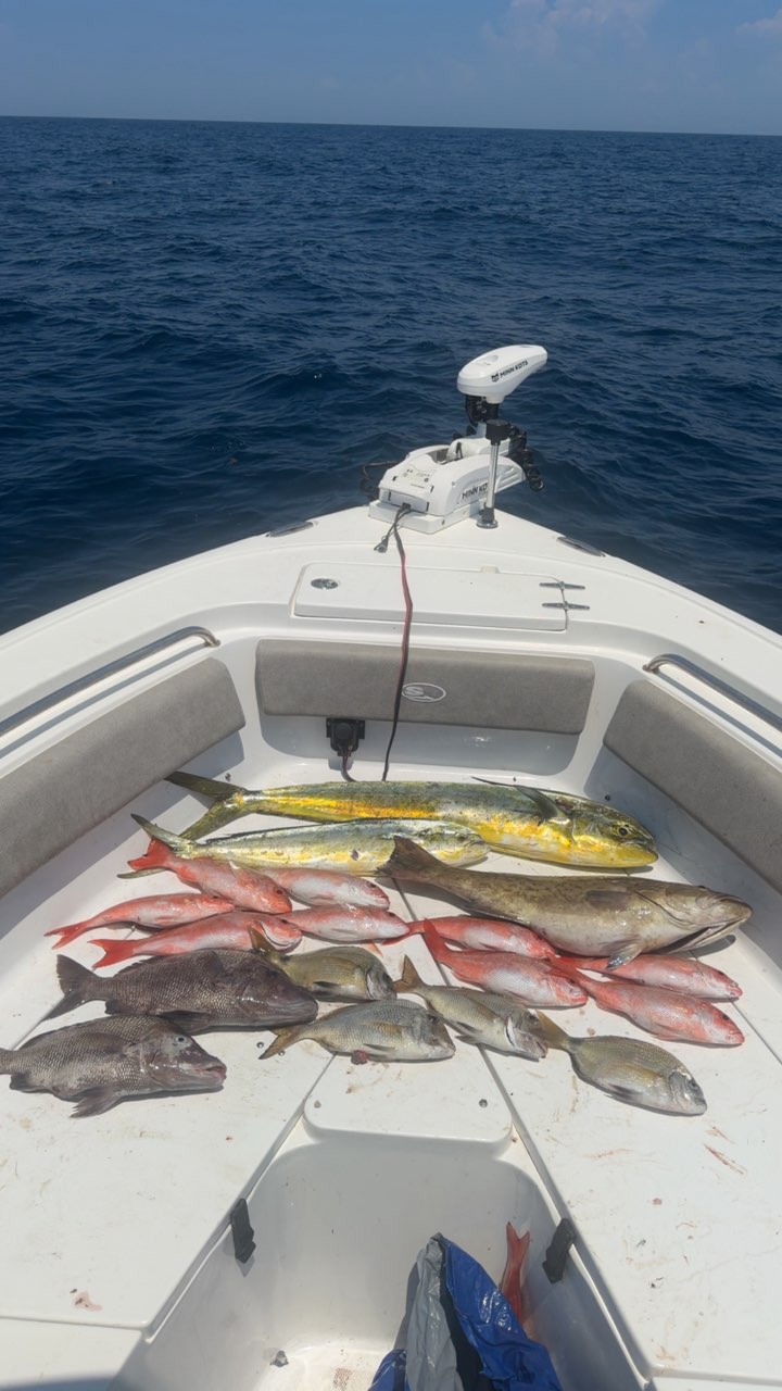 Sullivans Island Fishing Reports (June 2026)