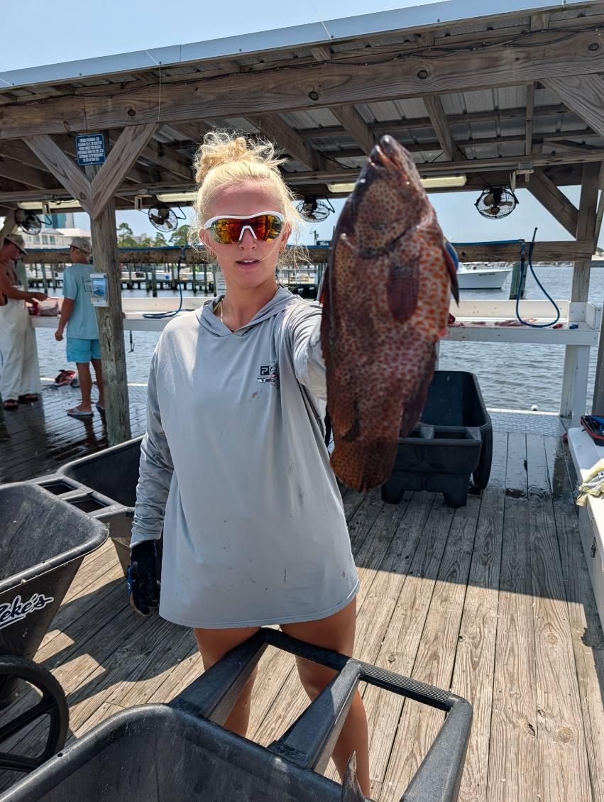 Perdido Key Beach Fishing Reports (June 2026)