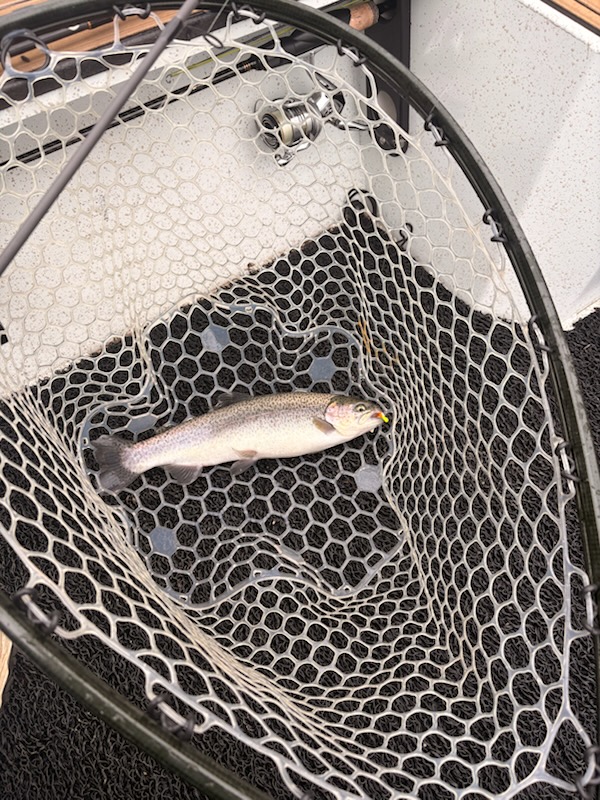 Heber Springs Fishing Reports (June 2026)