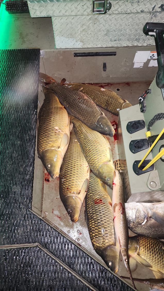 Stockton Lake Fishing Reports (May 2026)