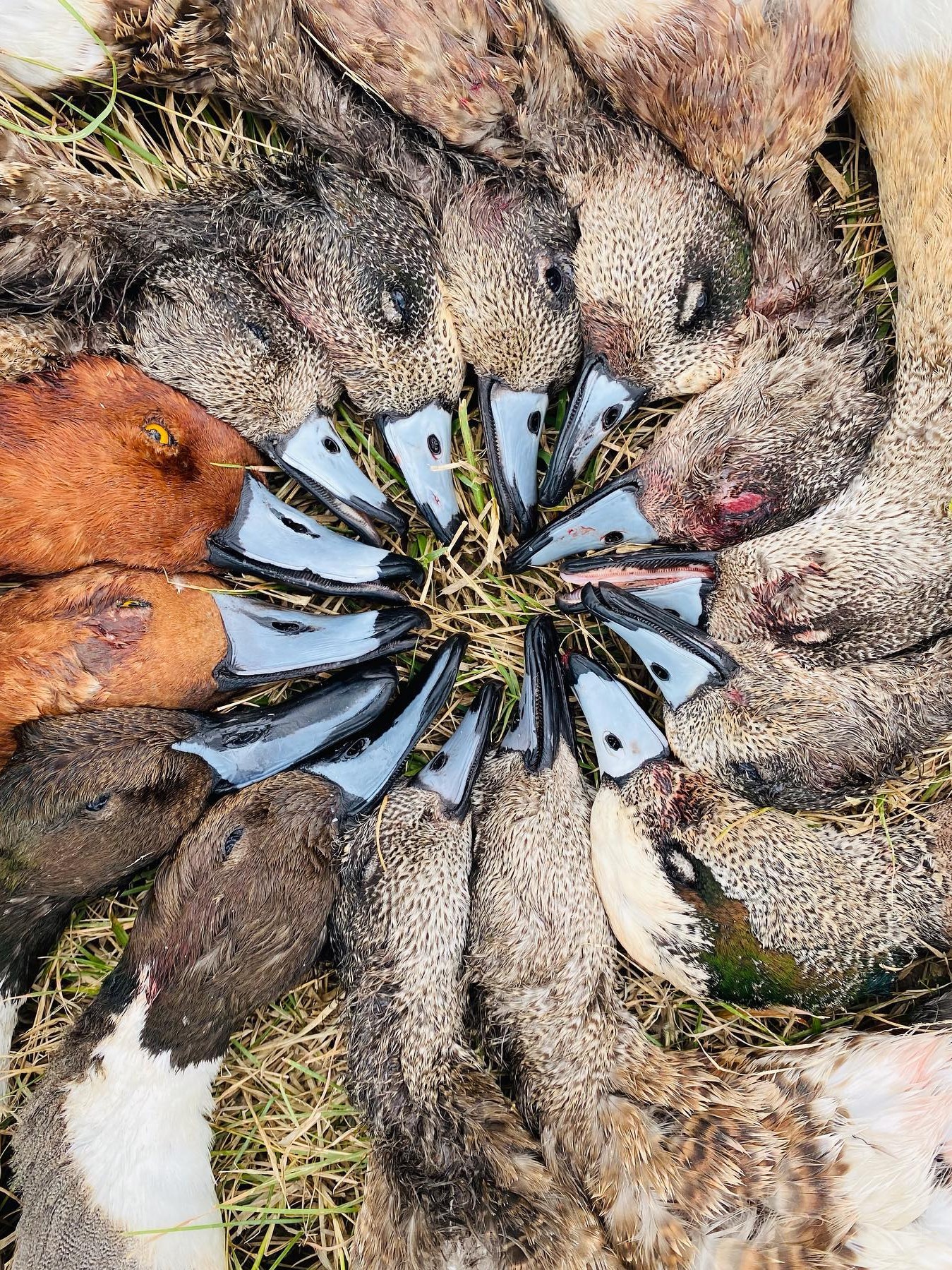 The 15 Best Hunting Guides in Laguna Vista, TX