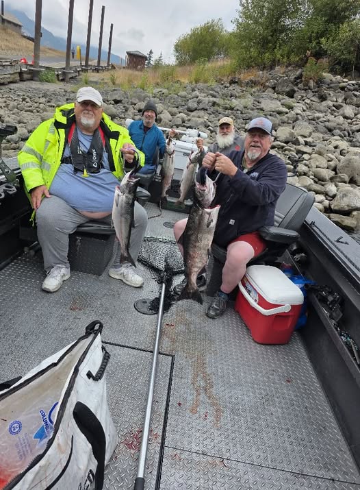 Fall King/Coho Salmon In Lyle