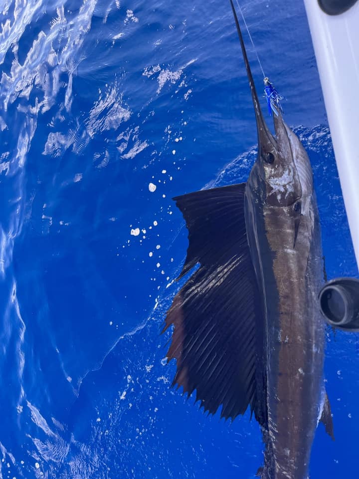 12 Hour Trip – Offshore In Key West