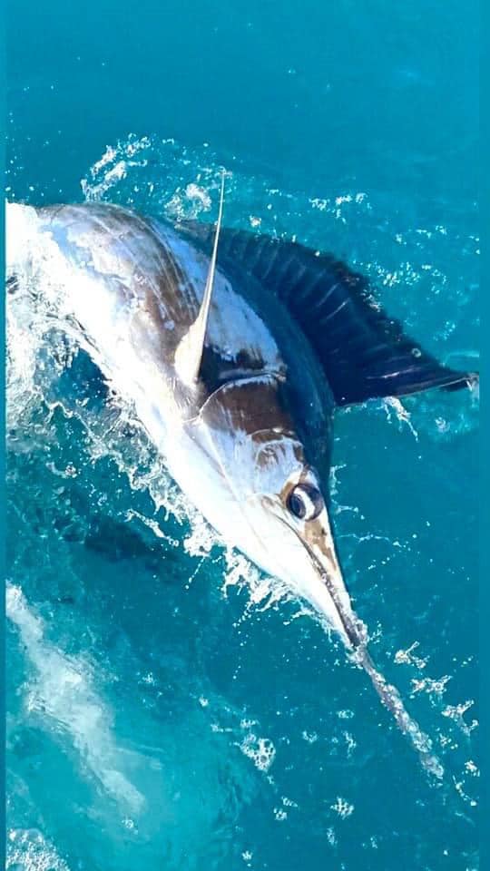 12 Hour Trip – Offshore In Key West