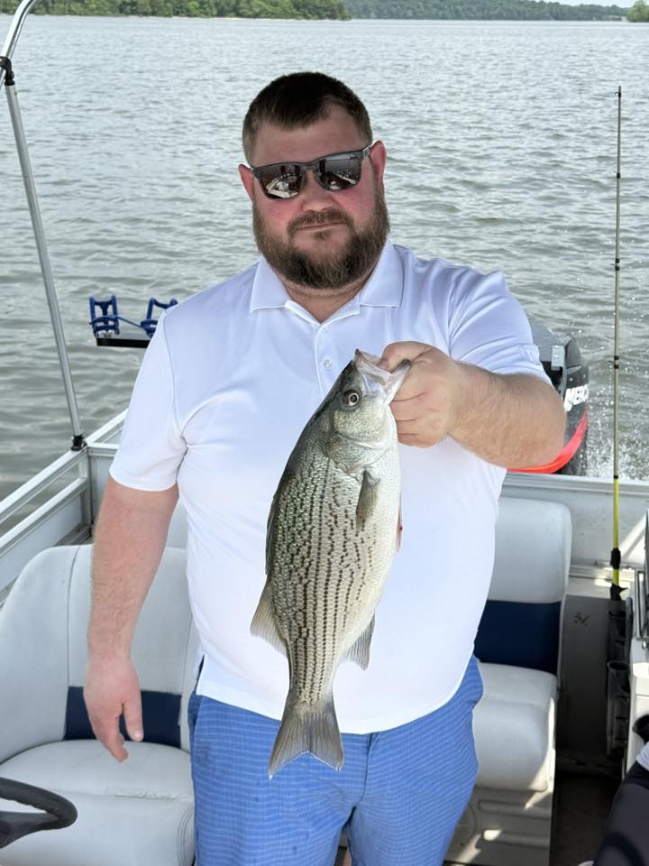 Hybrid/Striped Bass Trip In Mt. Juliet