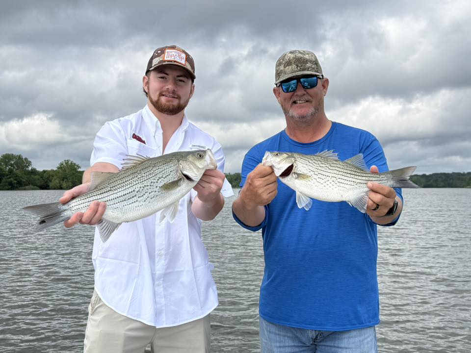 Hybrid/Striped Bass Trip In Mt. Juliet