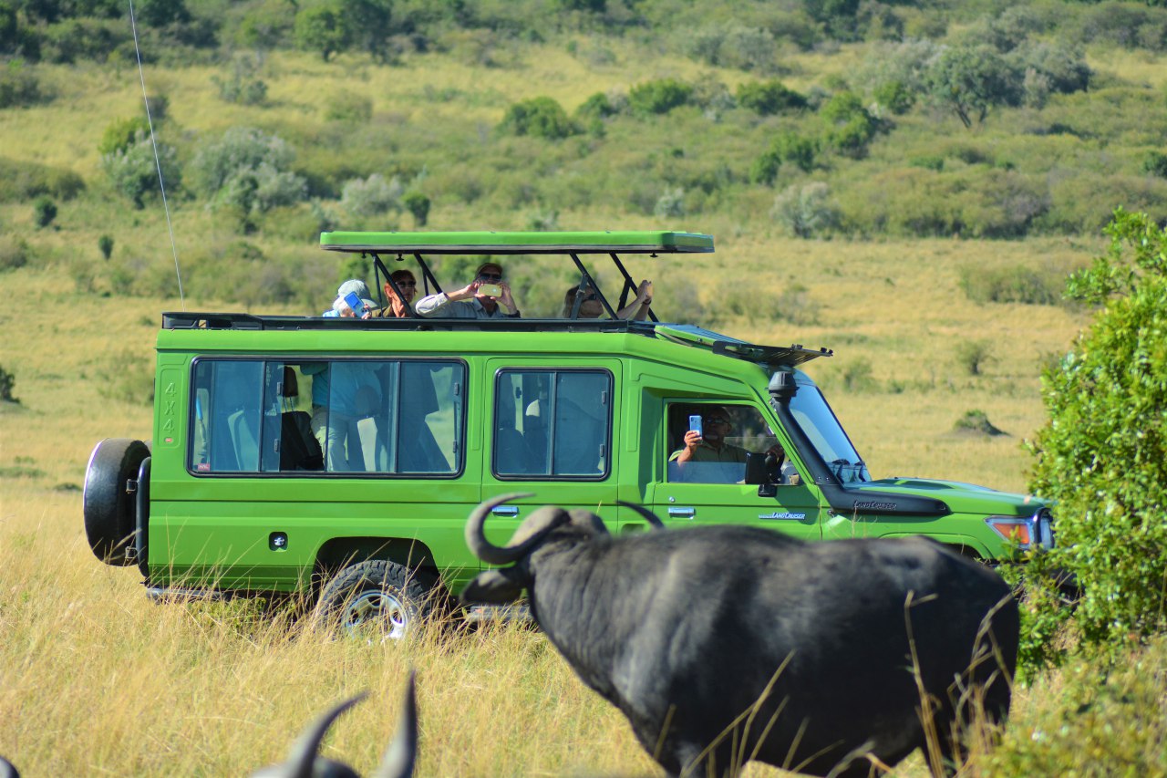 Serengeti National Park Seronera TZ Tours Guides