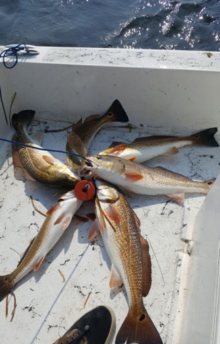 Inshore Fishing Trip In South Padre Island
