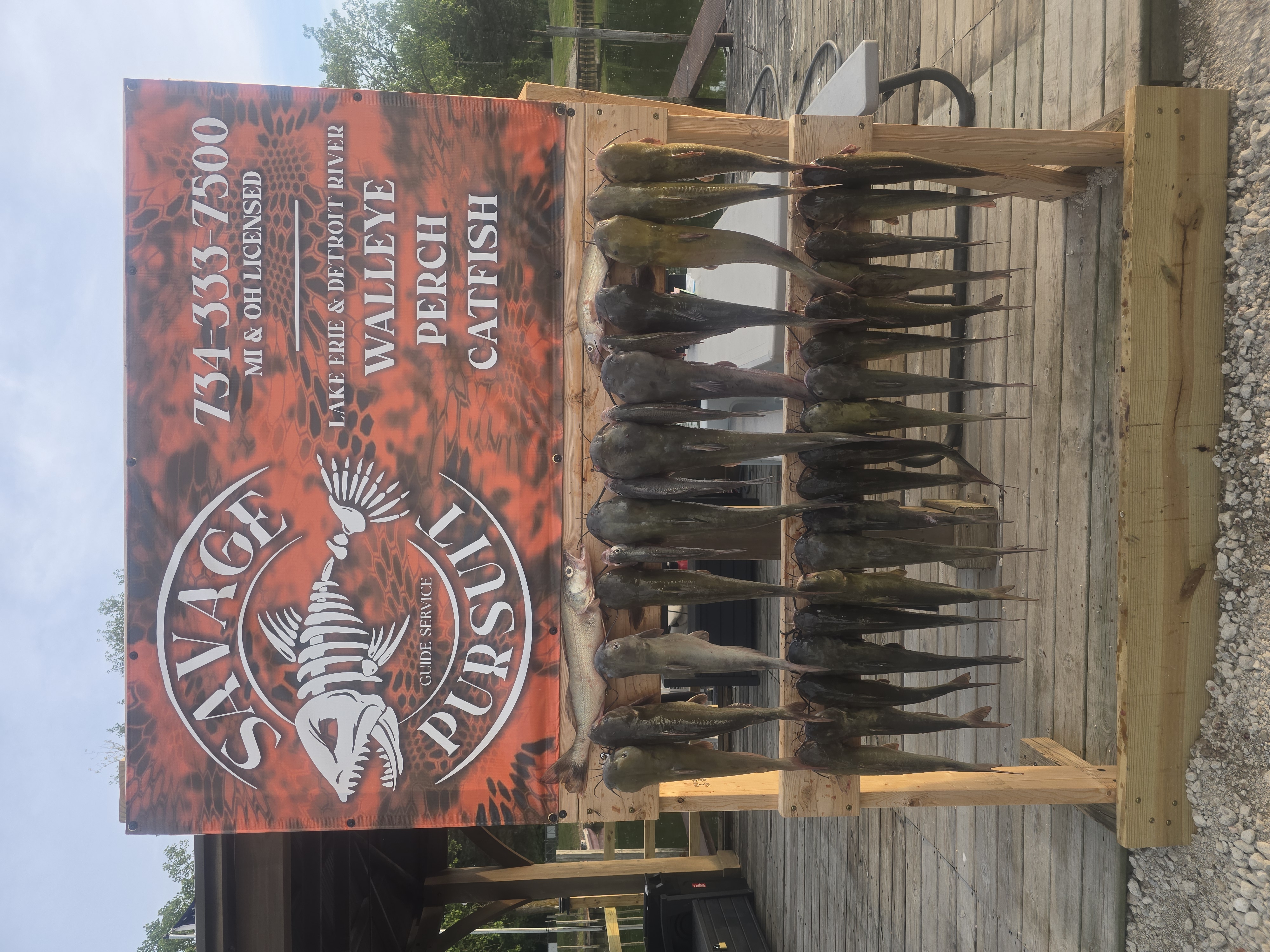 Blue Catfish Fishing Charters in Michigan