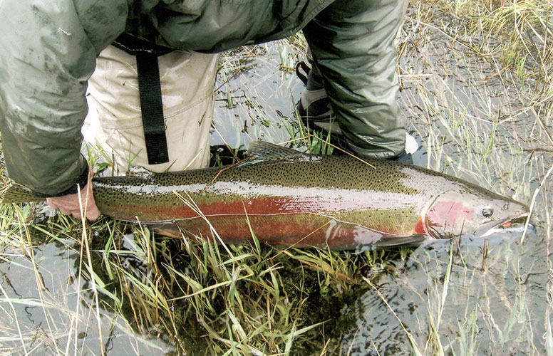 River Fishing Guides in Coffman Cove