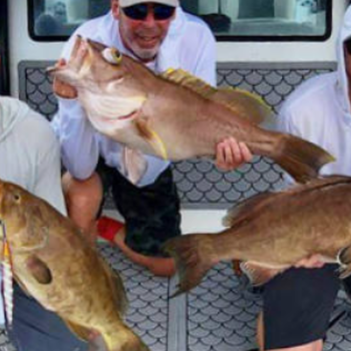 Amberjack Season 2025