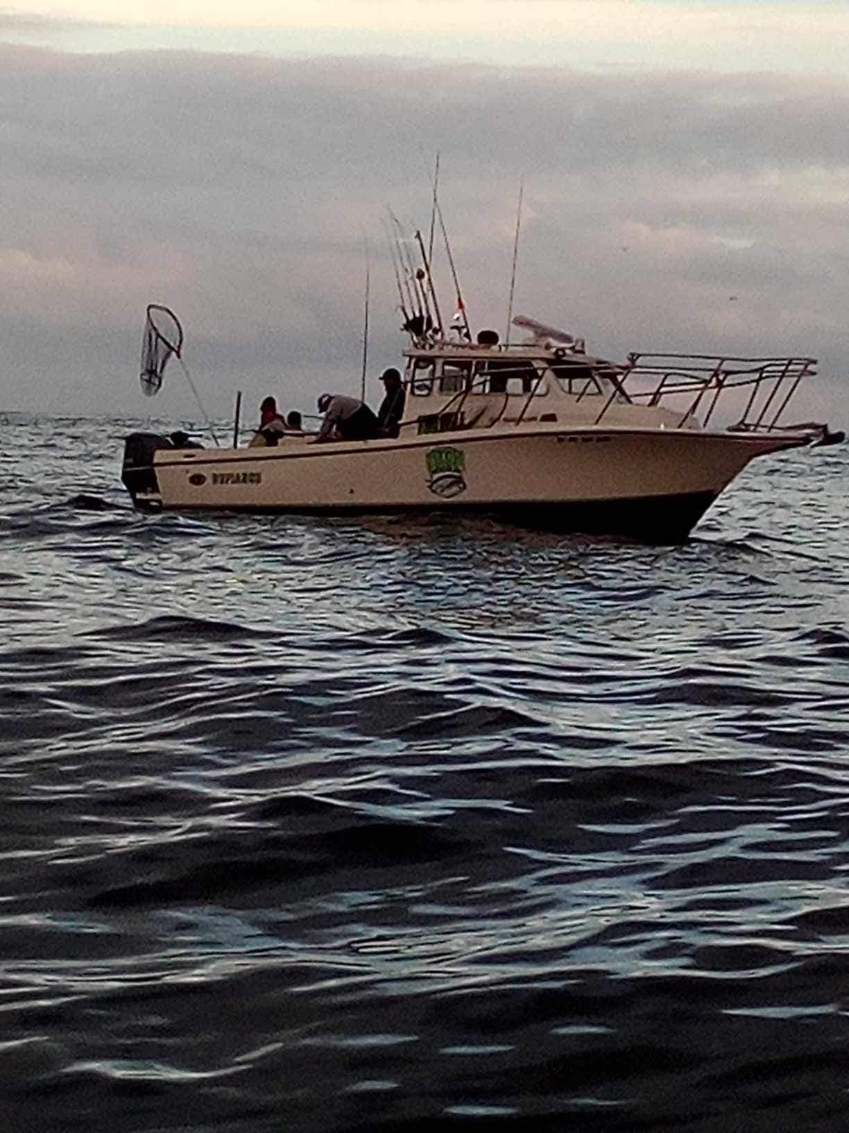 Live Bait Fishing Charters in the Trask River