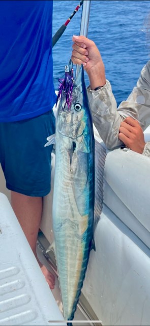 The 15 Best Deep Sea Fishing Charters in Corpus Christi